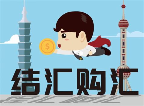 卖房汇出境外，购汇结汇先了解一下？ 哔哩哔哩