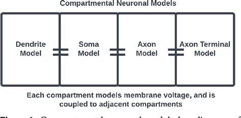 Figure 1 From From Brain Models To Robotic Embodied Cognition How Does Biological Plausibility