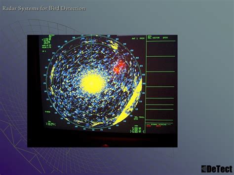 Ppt Radar Systems For Bird Detection In The Local Area Powerpoint Presentation Id 4240861