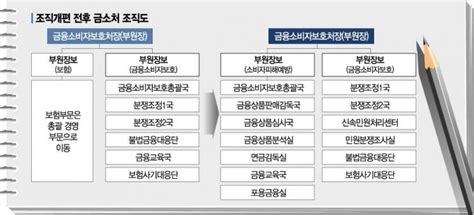 확 바뀐 금감원 소비자 보호·디지털에 방점 아시아경제