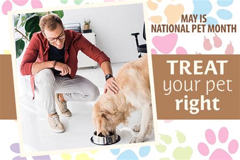 5 Ways To Treat Your Furry Friends