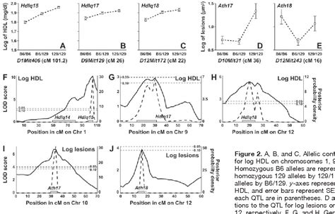 Quantitative Trait Loci Analysis For Plasma Hdl Cholesterol Concentrations And Atherosclerosis