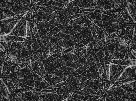 Branches Texture And Structure Abduzeedo Textures Patterns City Photo Aerial Deviantart