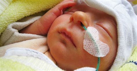 Scientists Have Discovered That Breastmilk May Help Preemies With Brain