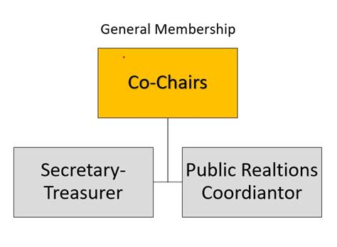 structure advisors and coaches network acn