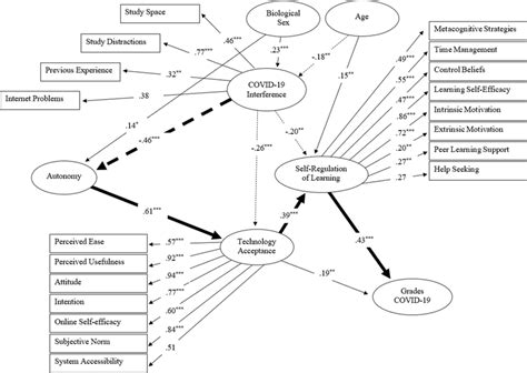 The Autonomy Pathway Model Note Beta Coefficients Greater Than