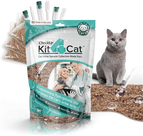 Coastline Global Kit4Cat CheckUp Nachfüllpack 0,9 kg : Amazon.de: Haustier