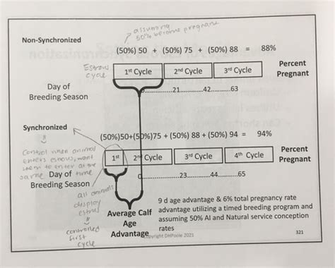 Exam 3 Estrus Synchronization Flashcards Quizlet