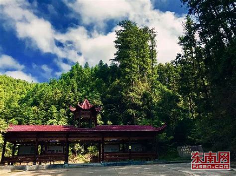“绿色金库”王台依靠林业打好文旅牌 省内 东南网旅游频道
