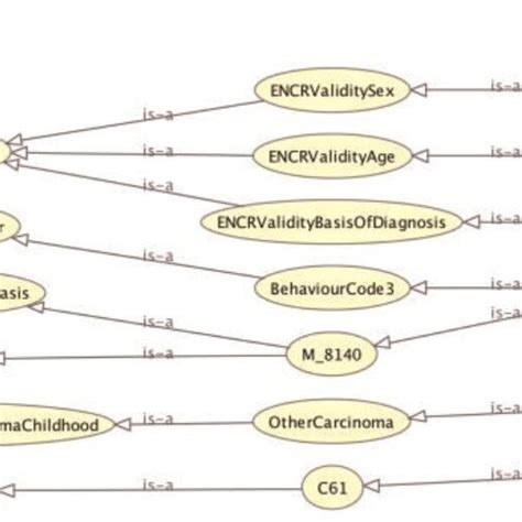 Graphical View Of The Classification Structure Containing Both