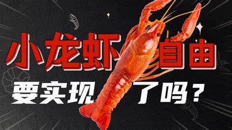 潮汐表丨“身价”暴跌！小龙虾自由，要实现了吗？