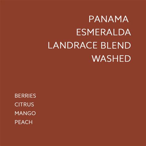 파나마 에스메랄다 랜드레이스 블렌드 워시드 2023 1kg 생두 커피플랜트 생두몰