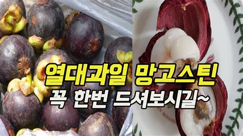 열대과일 망고스틴 꼭 한번 드셔보시길~ 너무 너무 맛있어요 Youtube