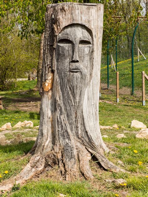 Cedar Tree Trunk Sculptures