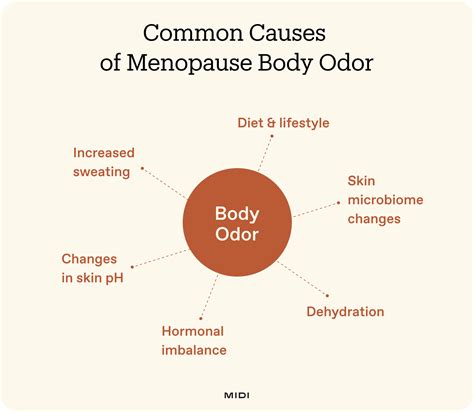 How Perimenopause Affects Smelly Armpits Causes And Solutions