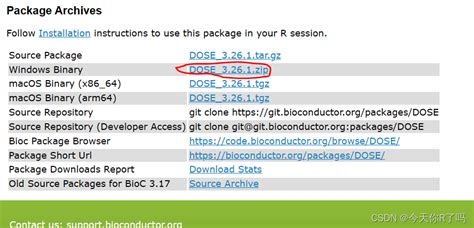 下载r包出错的一些处理心得a Version Of This Package For Your Version Of R Mi Csdn博客