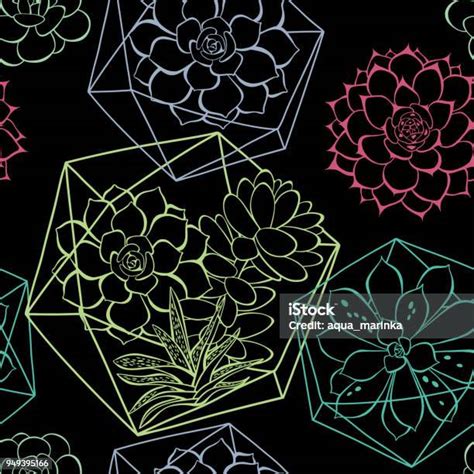 シームレスなパターン多肉植物と黒の背景に Florariums花のベクトル図です まぶしいのベクターアート素材や画像を多数ご用意