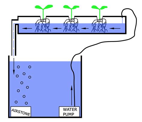 Recirculating Deep Water Culture Diagram