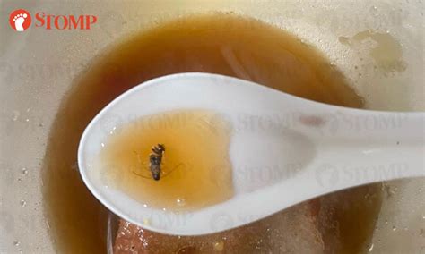 Woman Finds Dead Cockroach In Bowl Of Ice Kacang I Almost Vomited Stomp