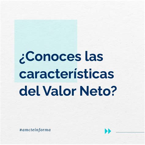 Amc Audit Sas Conoce Las Características Del Valor Neto