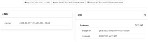 Spring Boot Admin 离线实例 Vipsoft 博客园