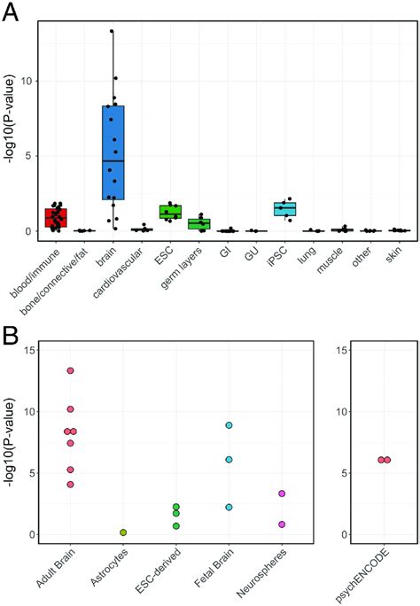 Genetic Risk For Schizophrenia Is Enriched In Chromhmm Derived Brain