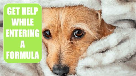 get help on any function while entering a formula excel tips