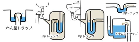 p管とは Malua