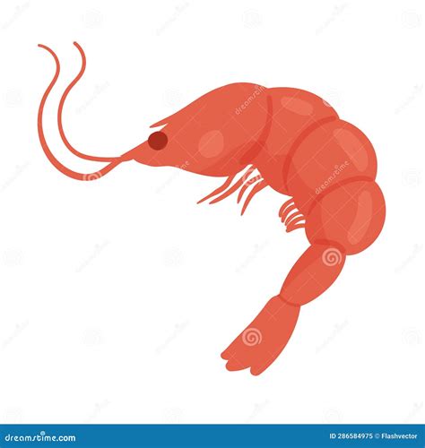 Seafood Shrimp Prawn Crab Lobster Squid Octopus Mussels Scallop