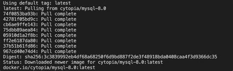 Installing Mysql With Docker Data Science Warrior