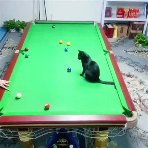 Nikhil Verma On Linkedin That Good Mentor Will Help You In Every Situation And You Have To Think