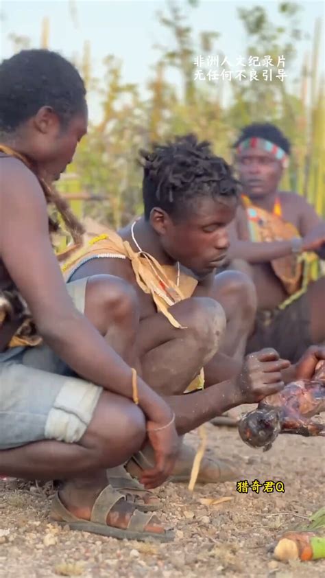 原始部落的奇异习俗：秃鹫猎食文化深度揭秘腾讯新闻