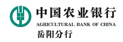 探班巴陵广场美食周布展现场