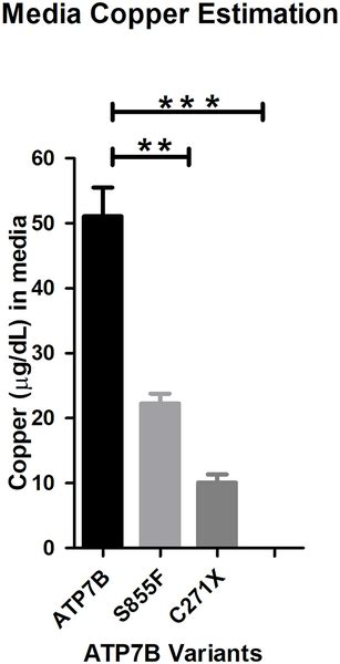 Deep Learning Plos One