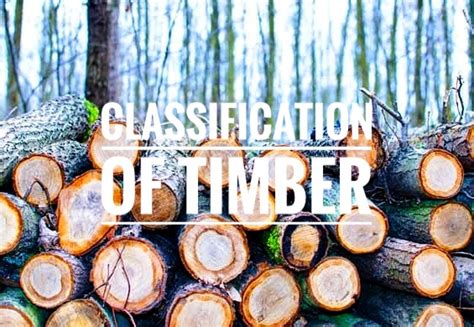 What Are The Classification Of Trees