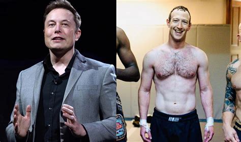 Le Combat Entre Elon Musk Et Mark Zuckerberg Se Déroulera Dans Un Lieu