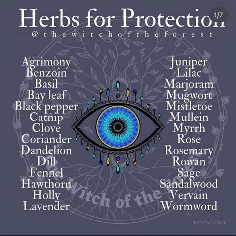 Pin By Anna Laurenson On Magic Of Herbs In 2024 Herbs For Protection