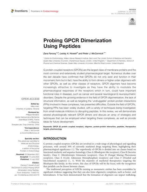 Pdf Probing Gpcr Dimerization Using Peptides
