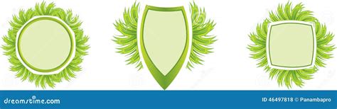 Grass Label Stock Vector Illustration Of Border Frame 46497818