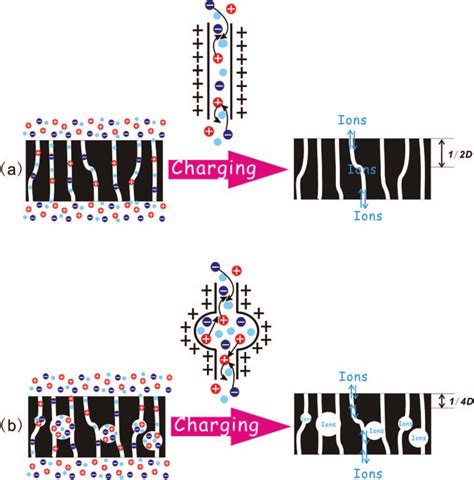 Describes A Simplified Process Of Ion Diffusion In The Download