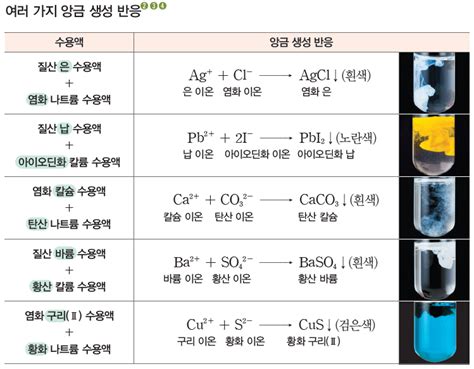 중2 과학 지식in