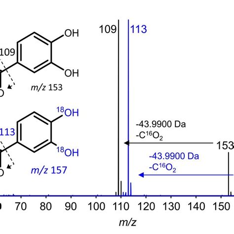 Overlayed Higher Energy Collisional Dissociation Hcd Fragmentation