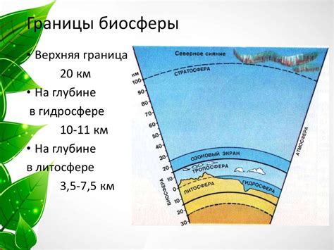 Структура биосферы презентация онлайн