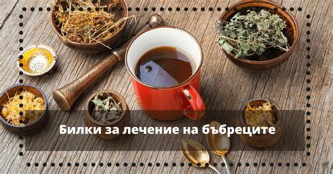 Бъбреци и пикочни пътища билков натурален чай Билкови продукти