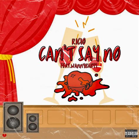 Bpm And Key For Cant Say No By Ricio Tempo For Cant Say No Songbpm