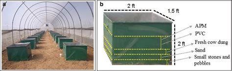 The Experimental Site With Vermicompost Unit A Consisted Of Steel Pots