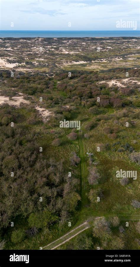 aerial view of coastal dunes and dense forest with winding sandy paths