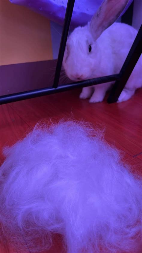 Guess My Days Are Numbered Rmurderbuns