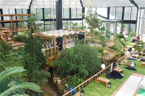 겨울엔 식물원 카페에서 식물 테라피로 힐링 마장호수 근처 양주 오랑주리 And 남양주 별내 비루개 2023 식물원 식물 온실