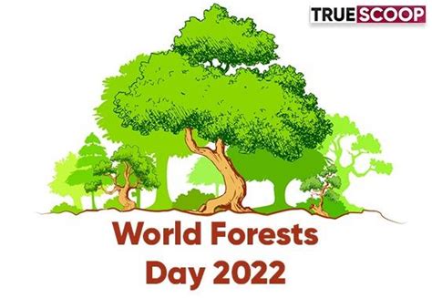 World Forest Day 2022 Know How Do Forests Play A Crucial Role In Our